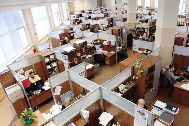 Organizational Design for Management: Balancing Structure, Strategy ...