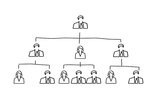 Functional Areas of a Business