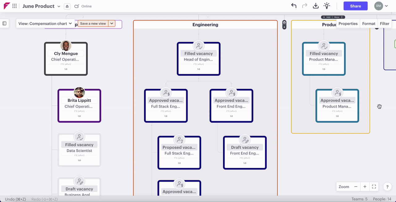 How to use the view options on your organizational chart