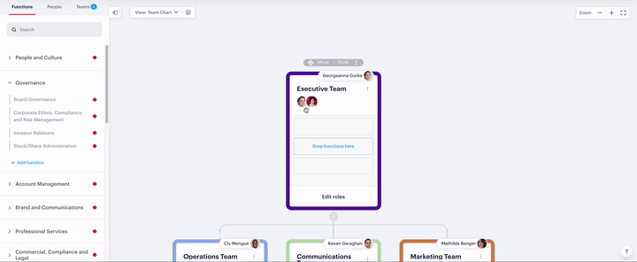 What is a "functional library" and how can I edit it?