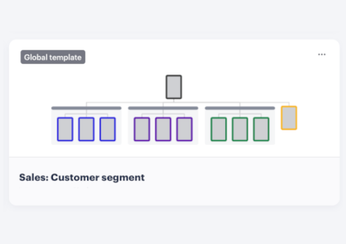 Sales Org: Customer Segment